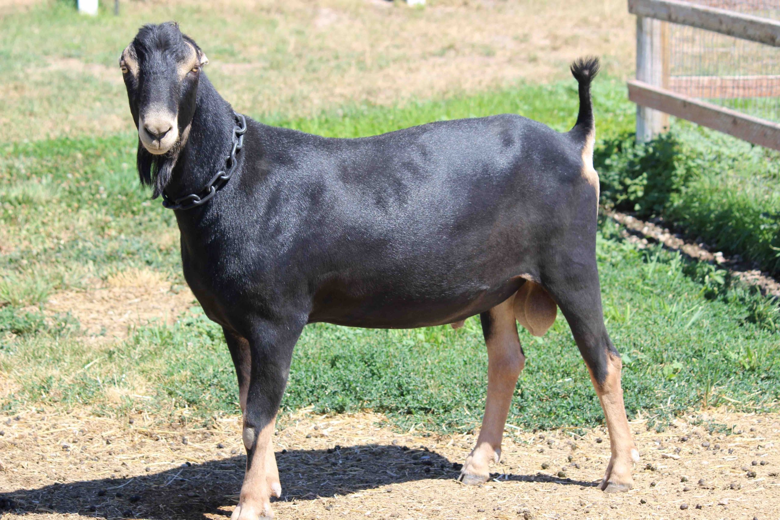 Naga – DeLuna Acres, LLC