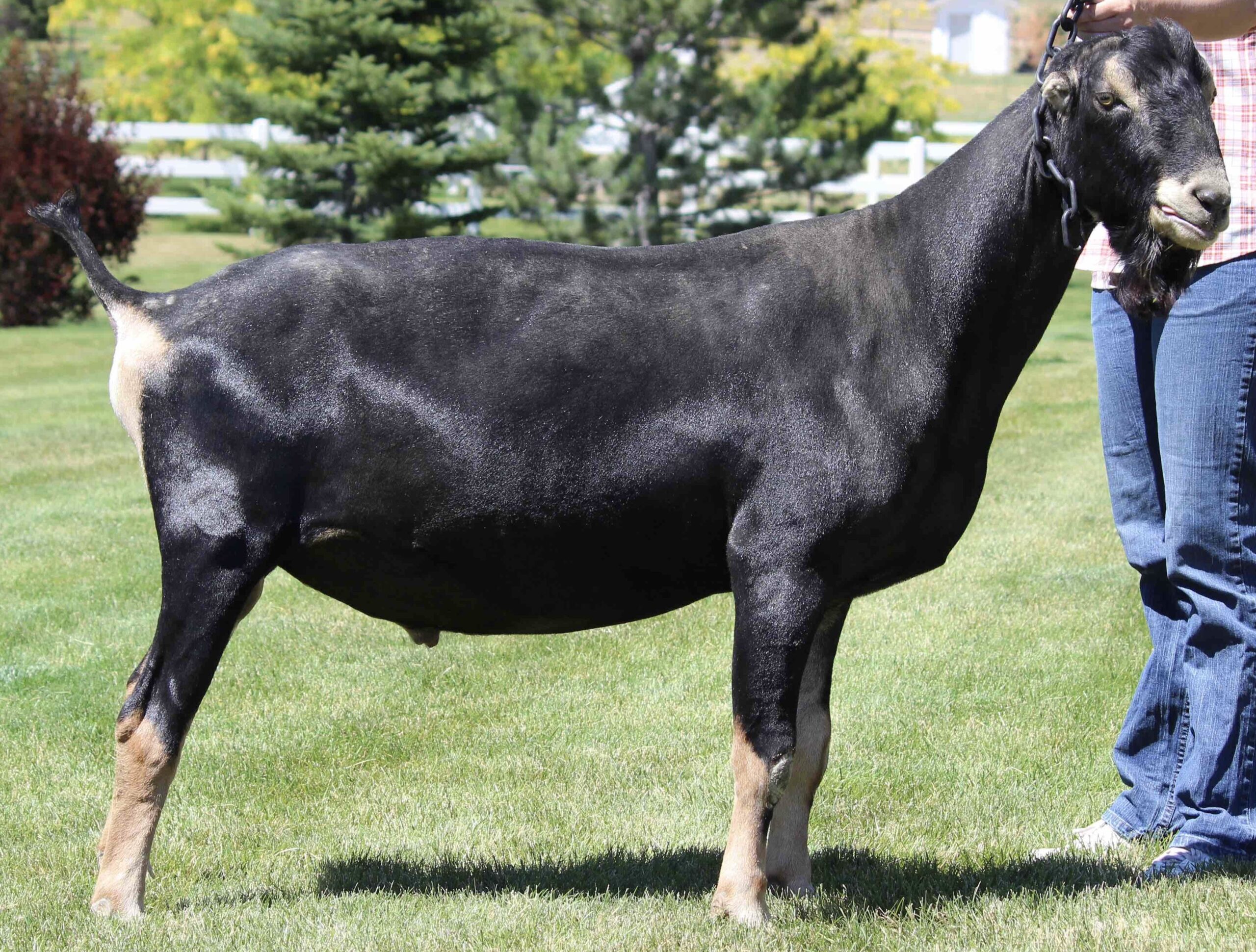 Naga – DeLuna Acres, LLC